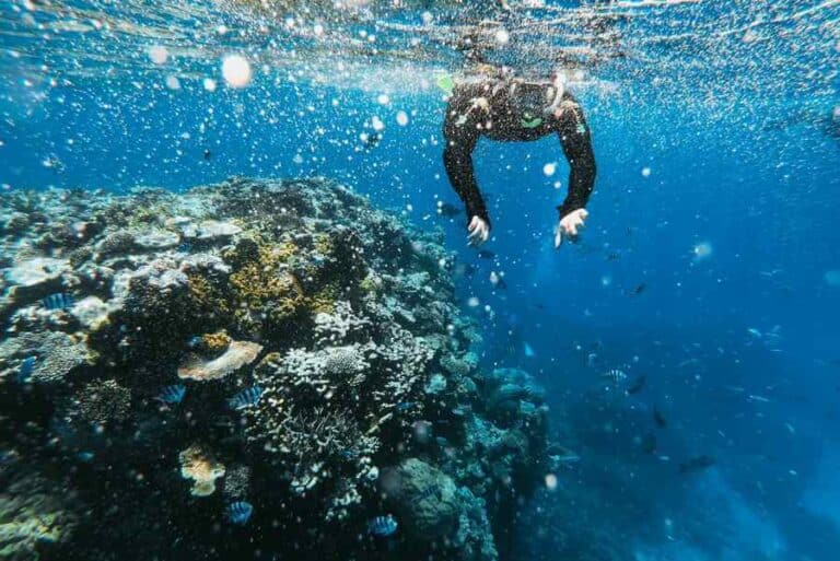 What Are The Main Threats to the Great Barrier Reef