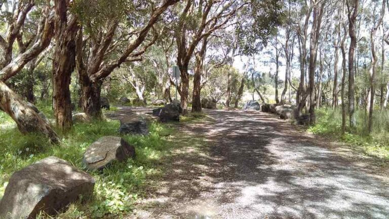 Visit Hat Head Beach New South Wales