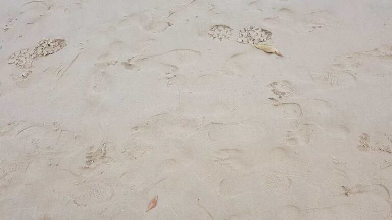 How Sand Is Made? From Beach Sands To The Deserts