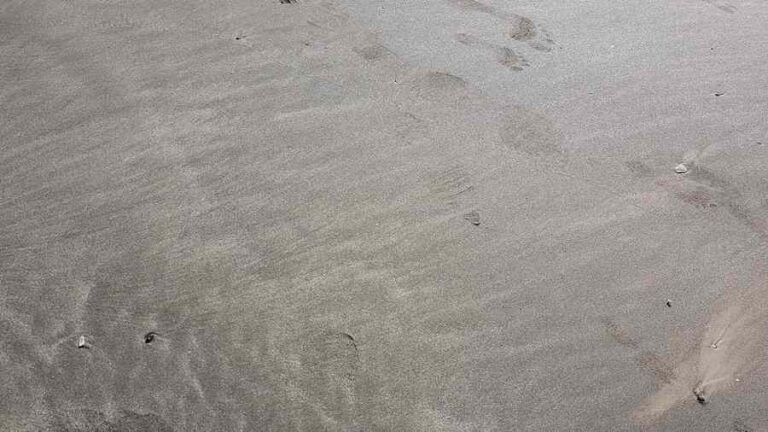 How Sand Is Made? From Beach Sands To The Deserts