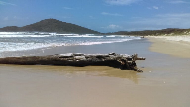 Visit Hat Head Beach New South Wales