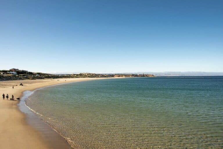 Can You Swim At The Beach In Adelaide?